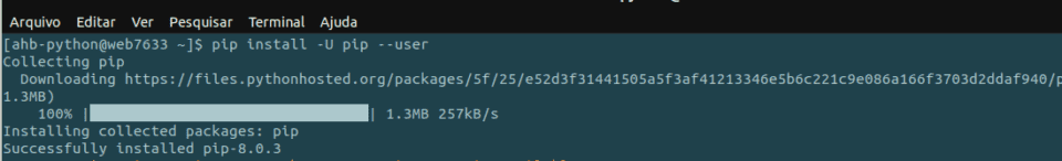 Atualizar versão do PIP - kingHost