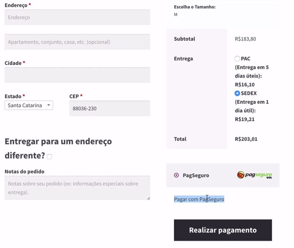 Como configurar o do PagSeguro no WooCommerce - kingHost